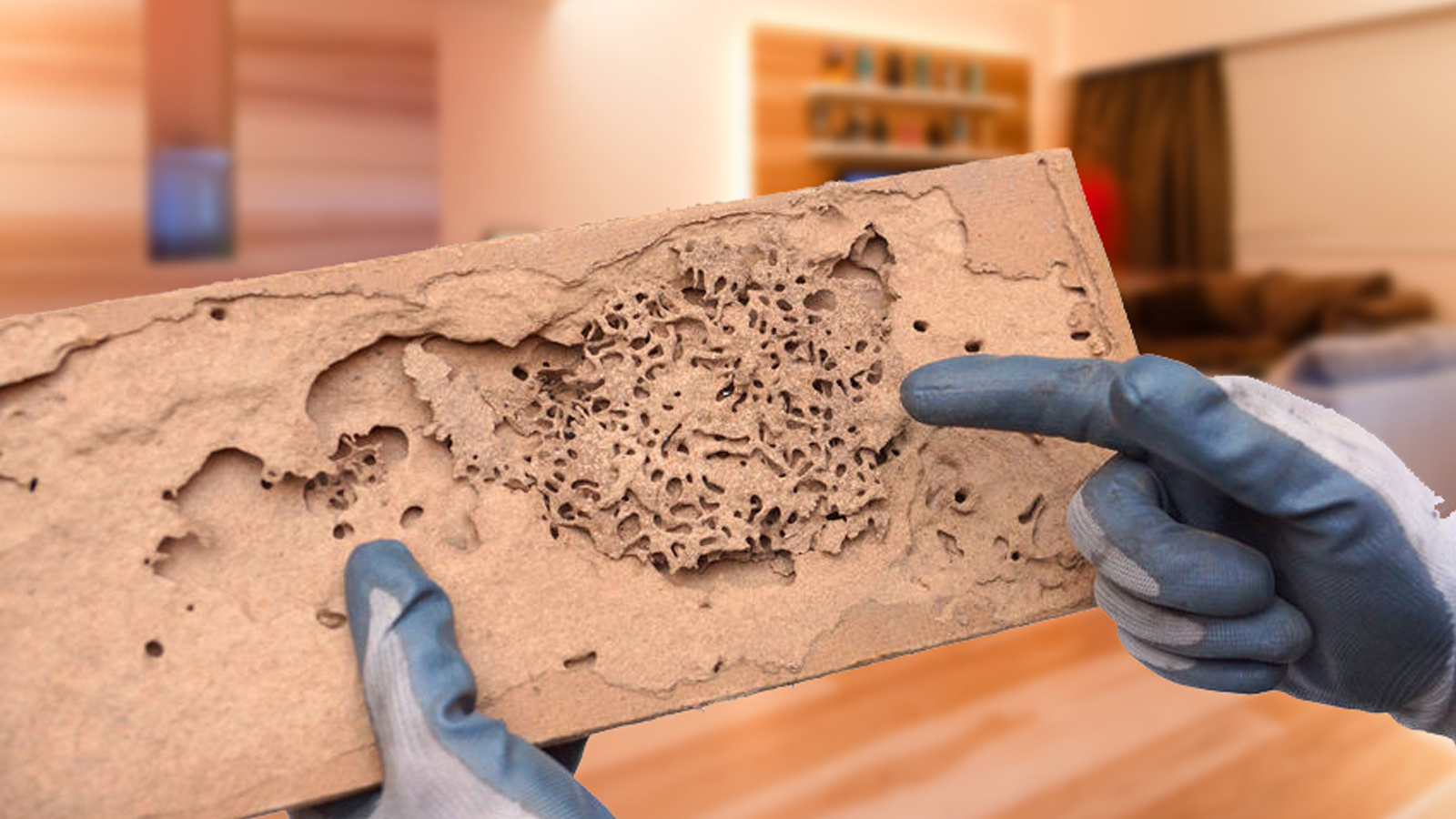 Century Chemical Corporation